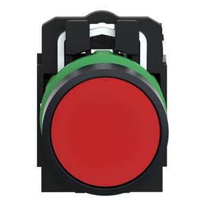 BOTAO XB5AA41 - Celetro Caxias